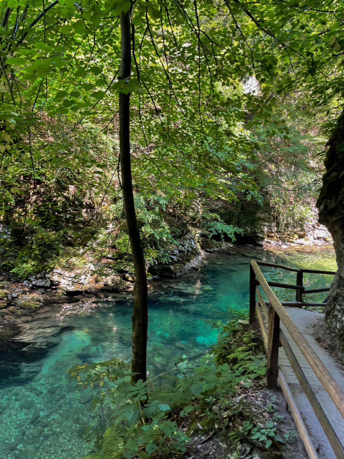 Visiting Vintgar Gorge from Lake Bled, Slovenia | In Travel